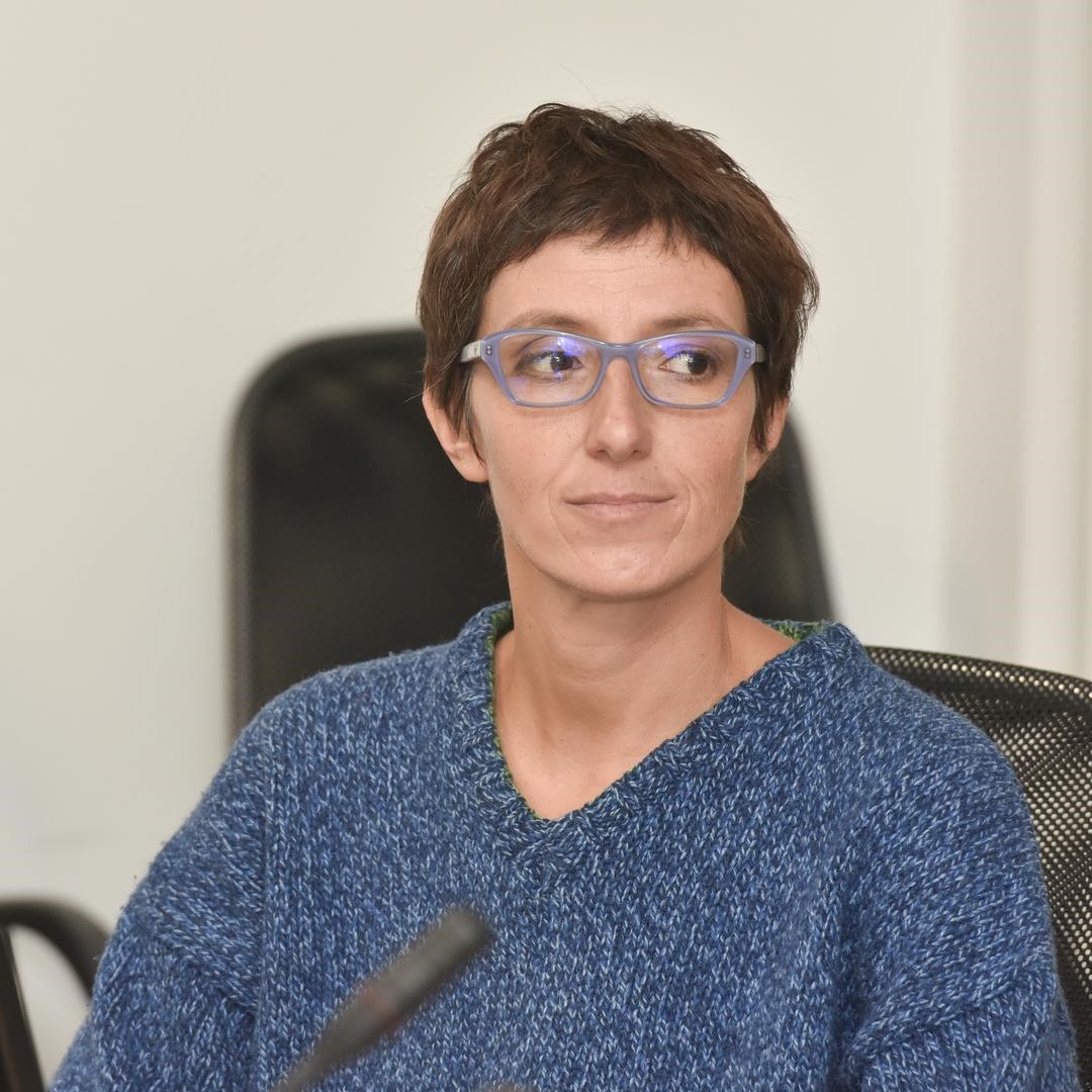 The EC Recommendation on journalists' safety: A view from the field one ...