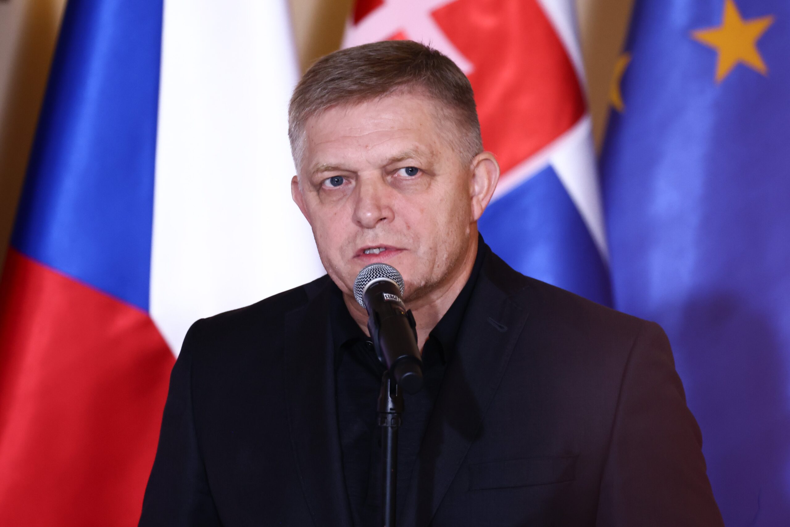 Slovak PM Robert Fico Sues Journalist Peter Bárdy